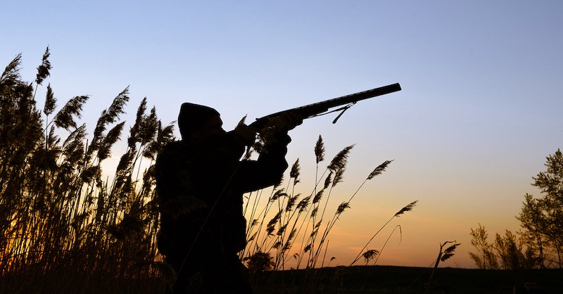 NIGERIA: Hunter Arrested Following Fatal Shooting of Colleague During ...
